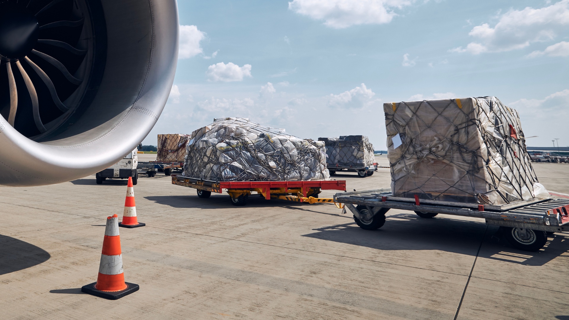 P1P/PAG Palle - FREJA Denmark