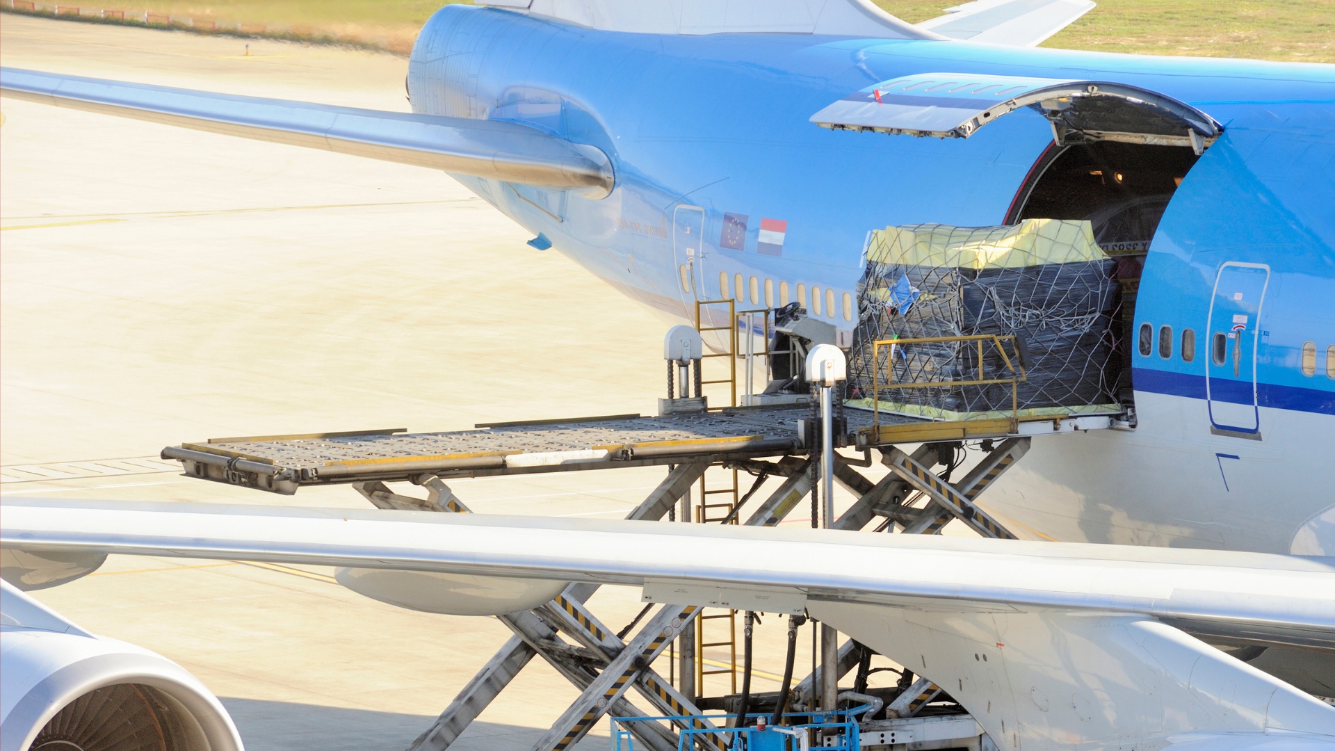 P6P/PMC Palle - FREJA Denmark